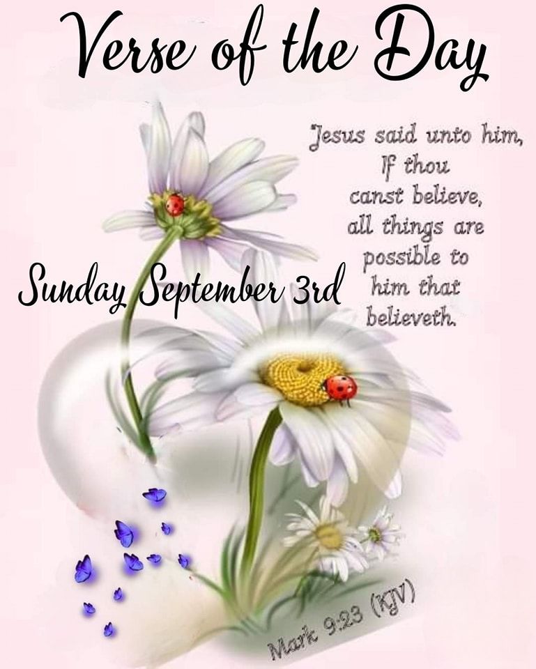 Verse Of The Day, Sunday, September 3rd Pictures, Photos, and Images ...