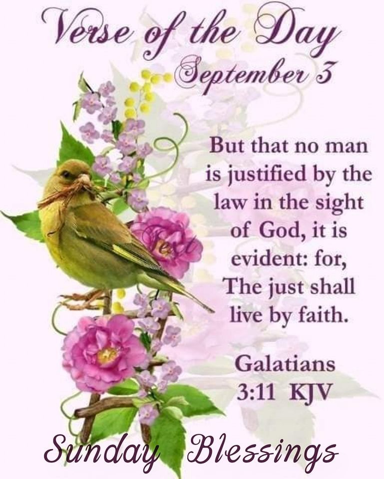 Sunday Blessings For September 3 Pictures, Photos, and Images for ...