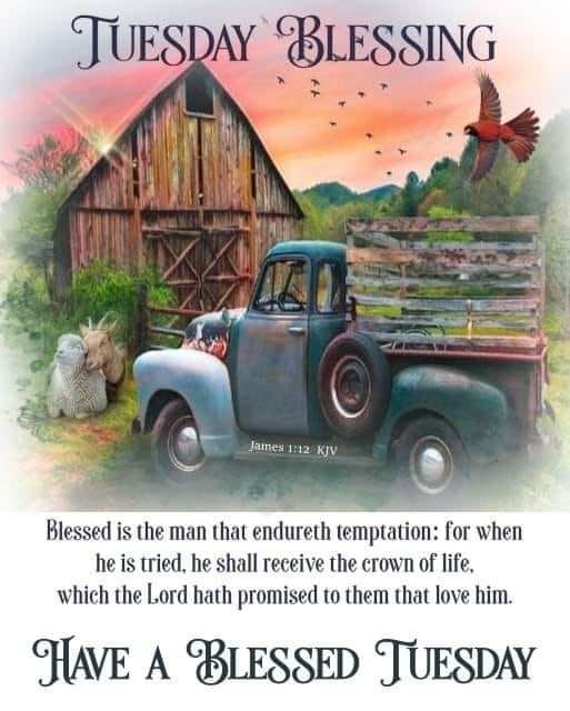 Tuesday Blessing, Have A Blessed Tuesday Pictures, Photos, and Images ...