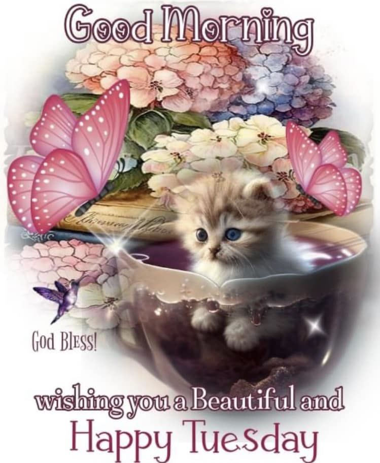 Happy Tuesday Morning Pictures