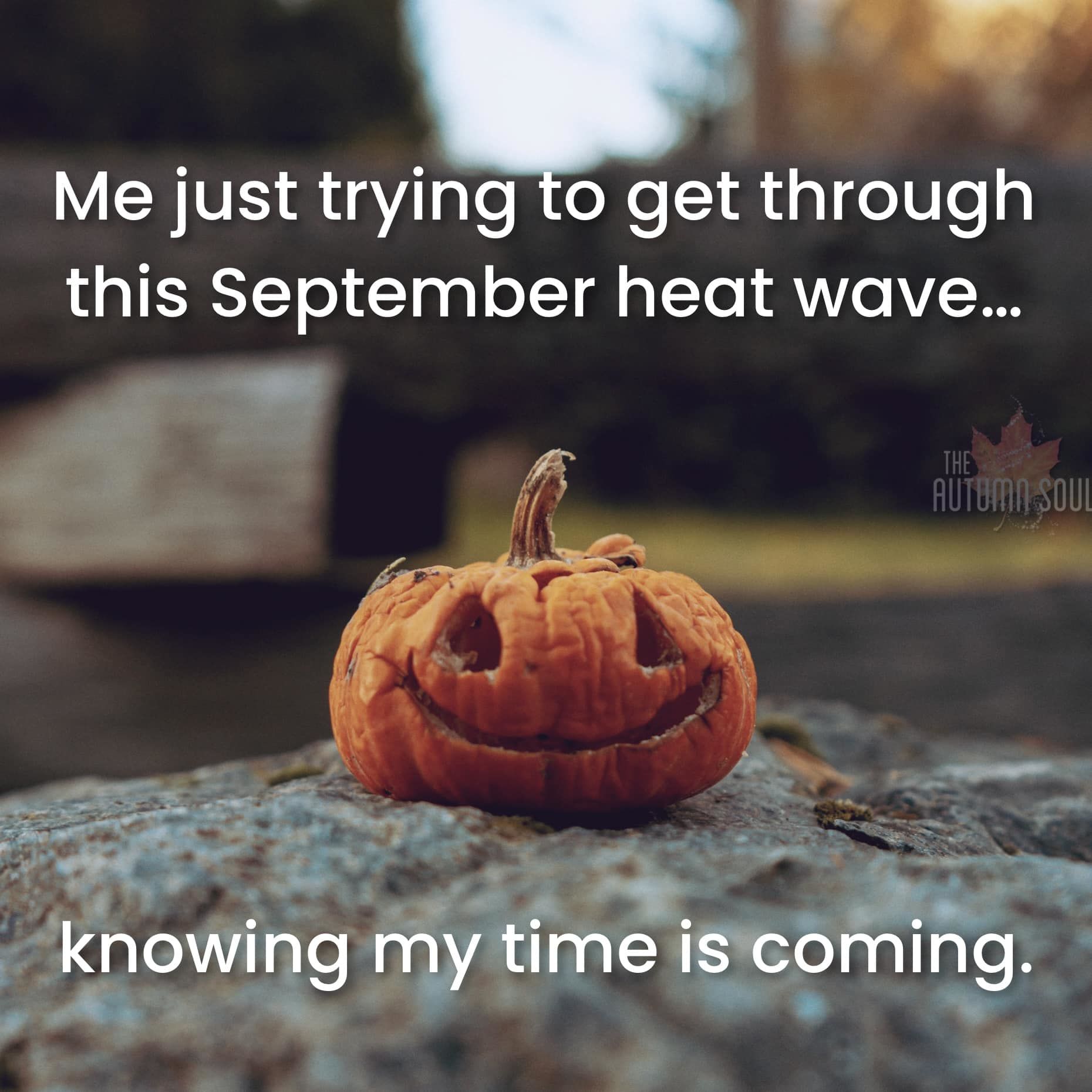 Me Just Trying To Get Through This September Heat Wave...knowing My ...