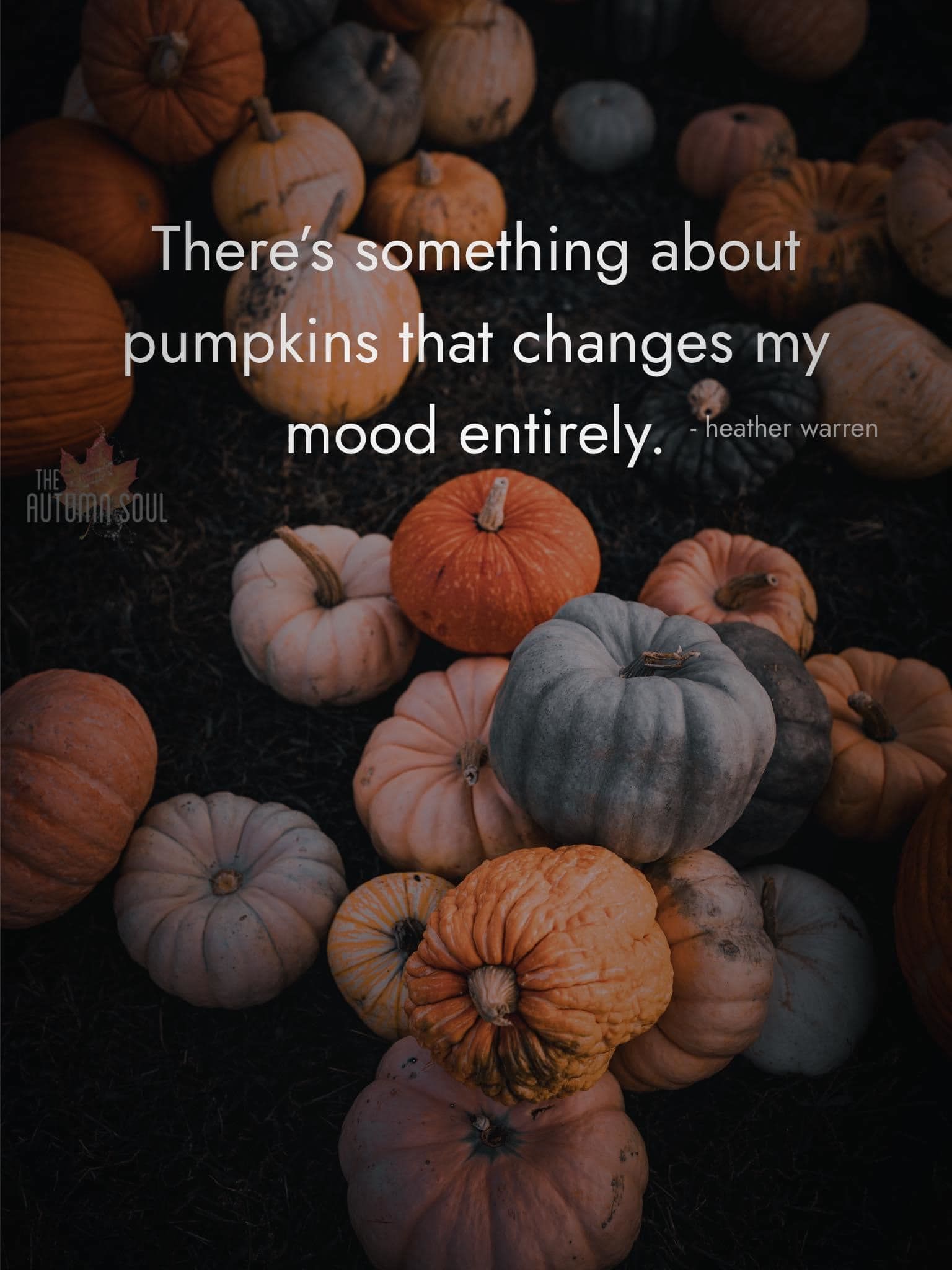 There's Something About Pumpkins That Changes My Mood Entirely ...