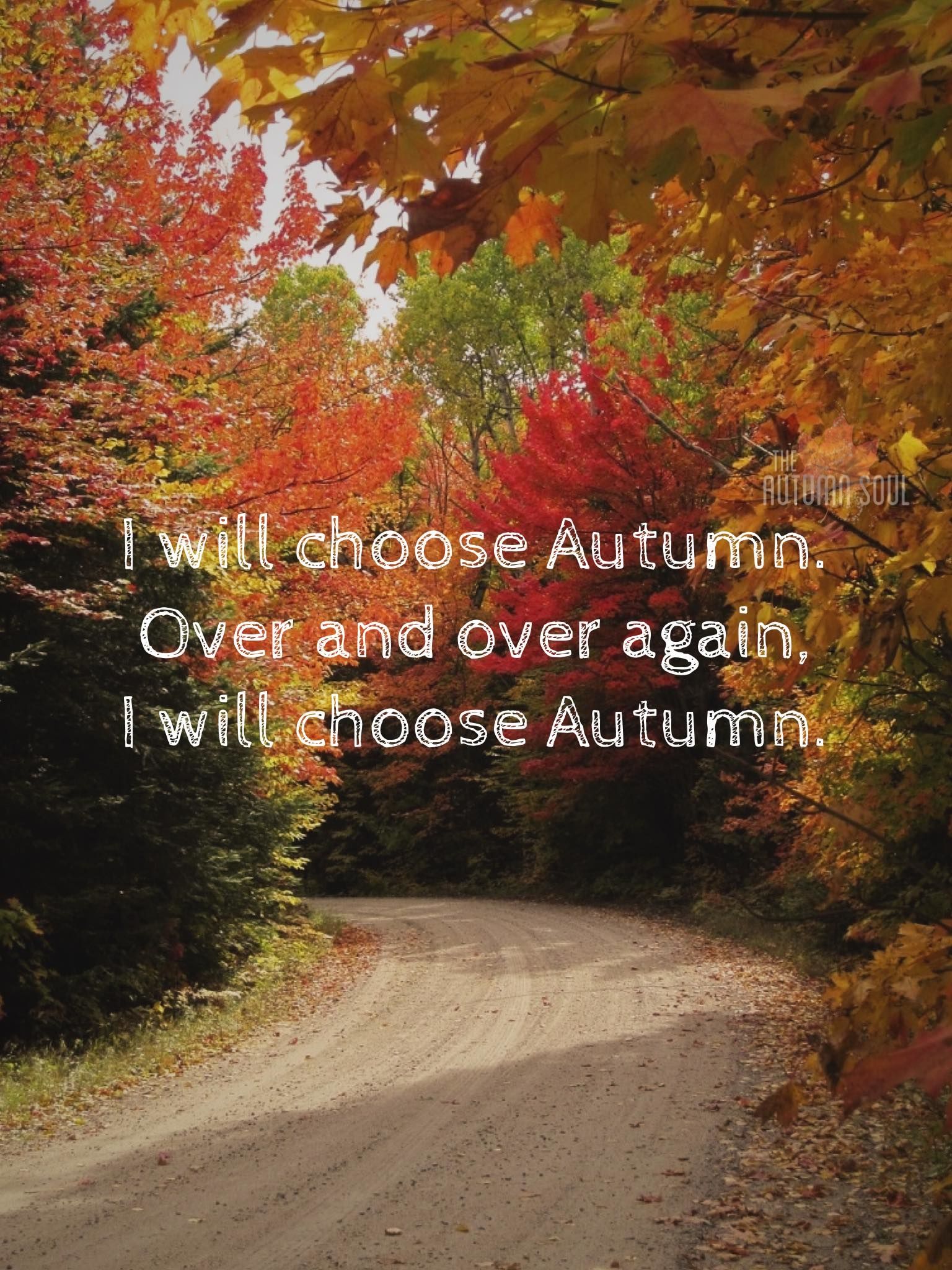 I Will Choose Autumn Over And Over Again. I Will Choose Autumn Pictures ...
