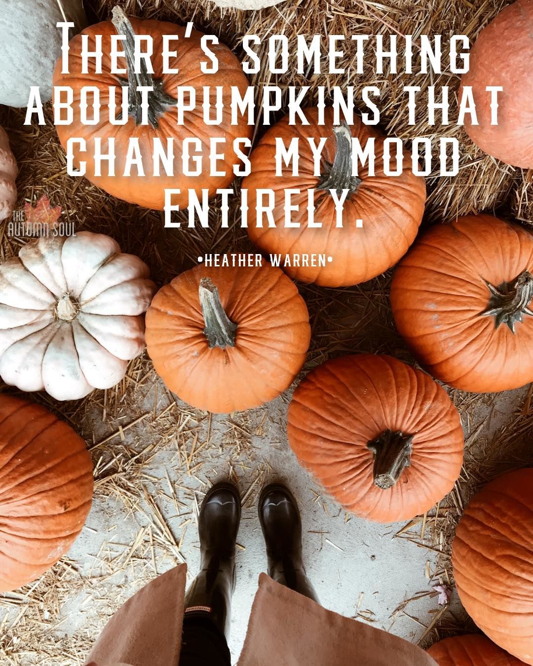 There's Something About Pumpkins That Changes My Mood Entirely ...