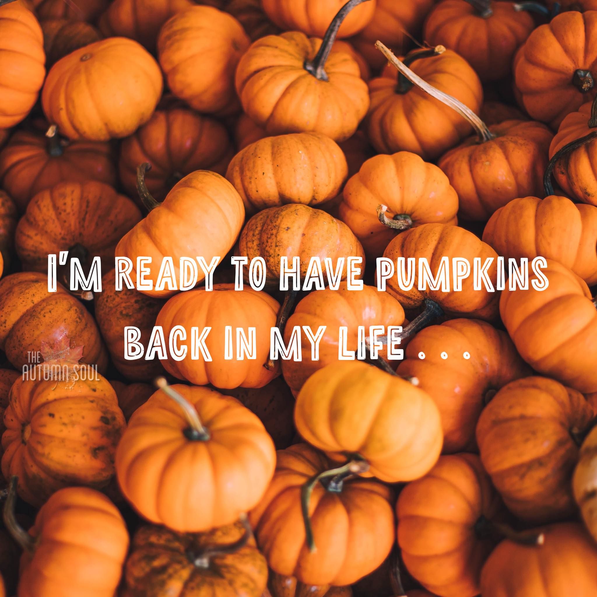 I'm Ready To Have Pumpkins Back In My Life... Pictures, Photos, and ...