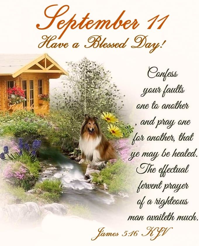 September 11, Have A Blessed Day Pictures, Photos, and Images for ...