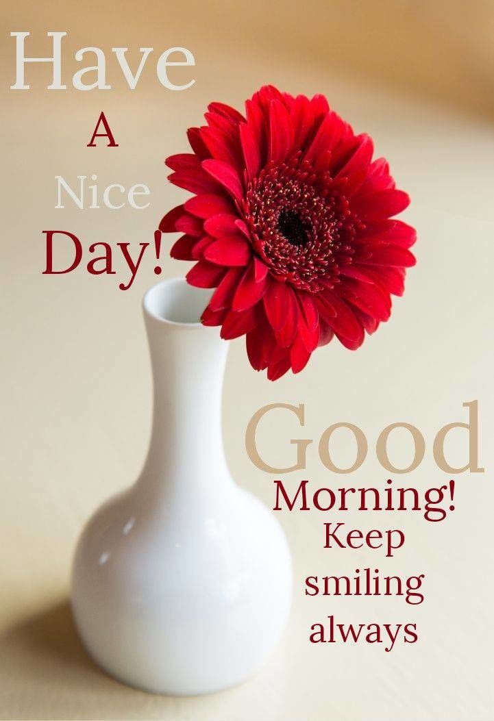 Good Morning And Keep Smiling Always Pictures, Photos, and Images for ...