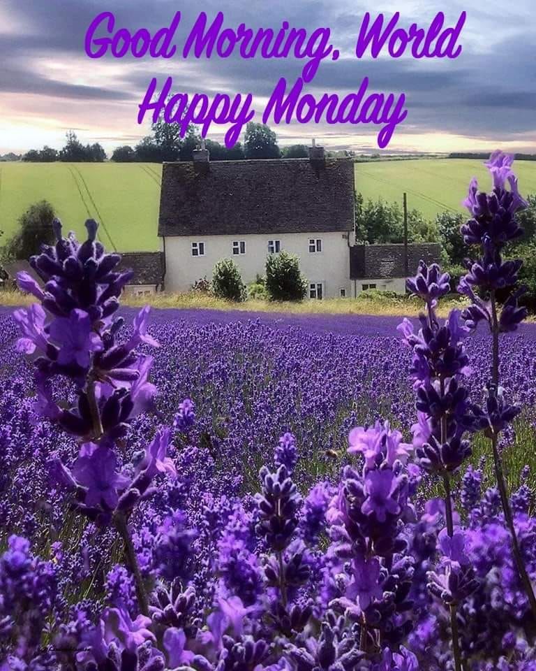 Good Morning, World. Happy Monday Pictures, Photos, and Images for ...