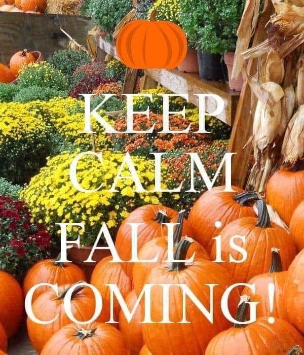 Keep Calm Fall Is Coming Pictures, Photos, and Images for Facebook ...