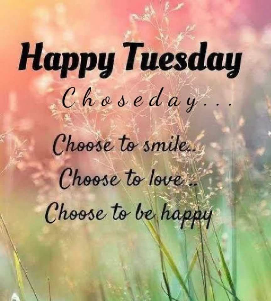 Happy Tuesday Chooseday Pictures, Photos, and Images for Facebook ...