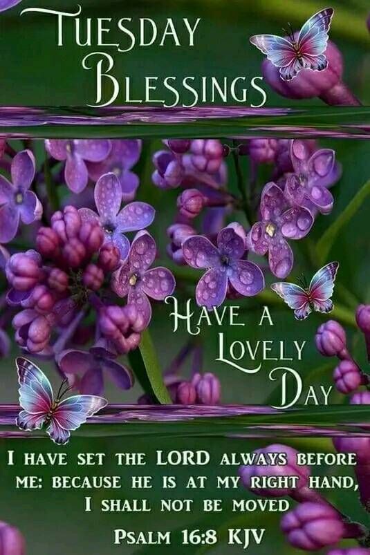Tuesday Blessings Scripture Of The Day Pictures, Photos, and Images for ...
