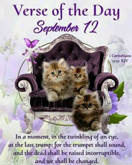 The Verse Of The Day For September 12 Pictures, Photos, and Images for ...