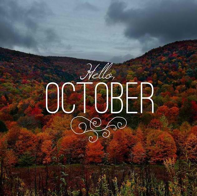 Fall Forest View - Hello October Image Pictures, Photos, and Images for ...