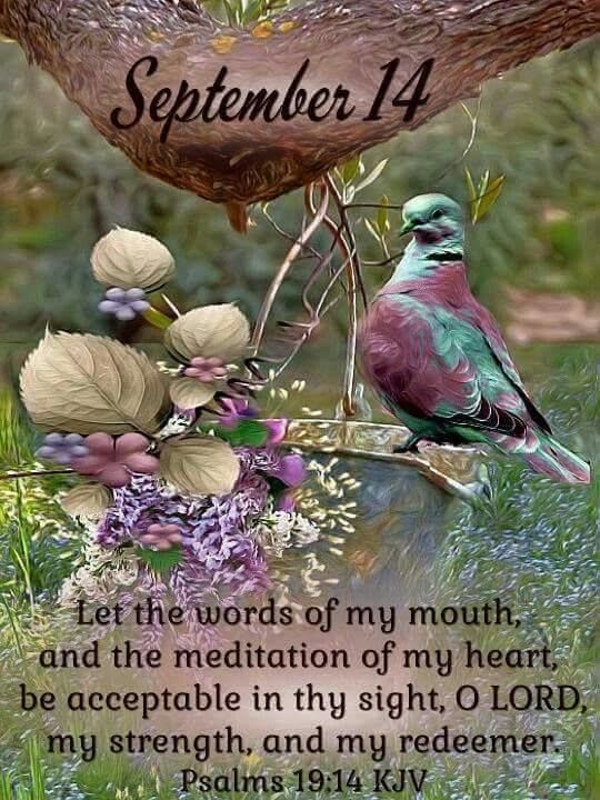 September 14 Pictures, Photos, and Images for Facebook, Tumblr ...
