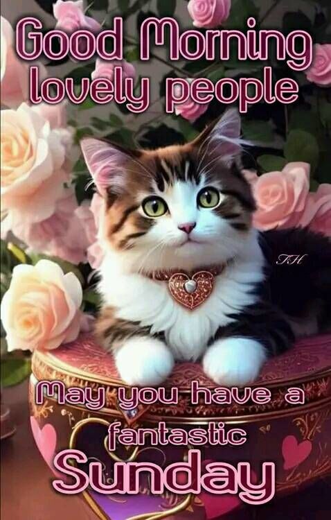 Good Morning Lovely People. May You Have A Fantastic Sunday Pictures ...