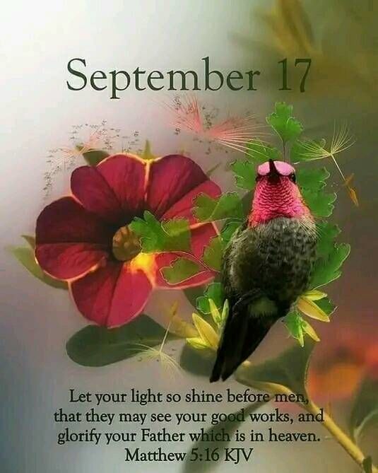 September 17: Let Your Light Shine Before Men, That They May See Your ...
