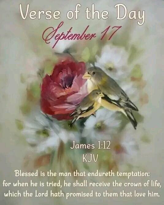 Verse Of The Day, September 17 Pictures, Photos, and Images for ...