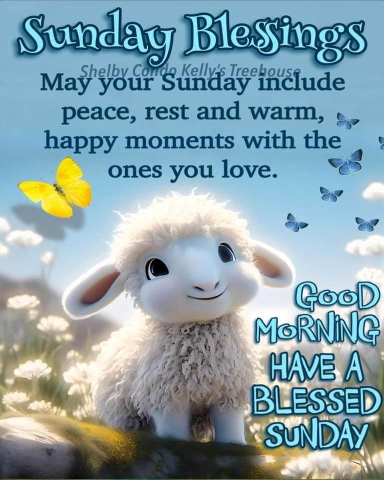 Baby Sheep - Sunday Blessings, May Your Sunday Include Peace, Rest And ...