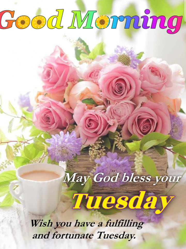 Wish You Have A Fulfilling And Fortunate Tuesday. Good Morning Pictures ...