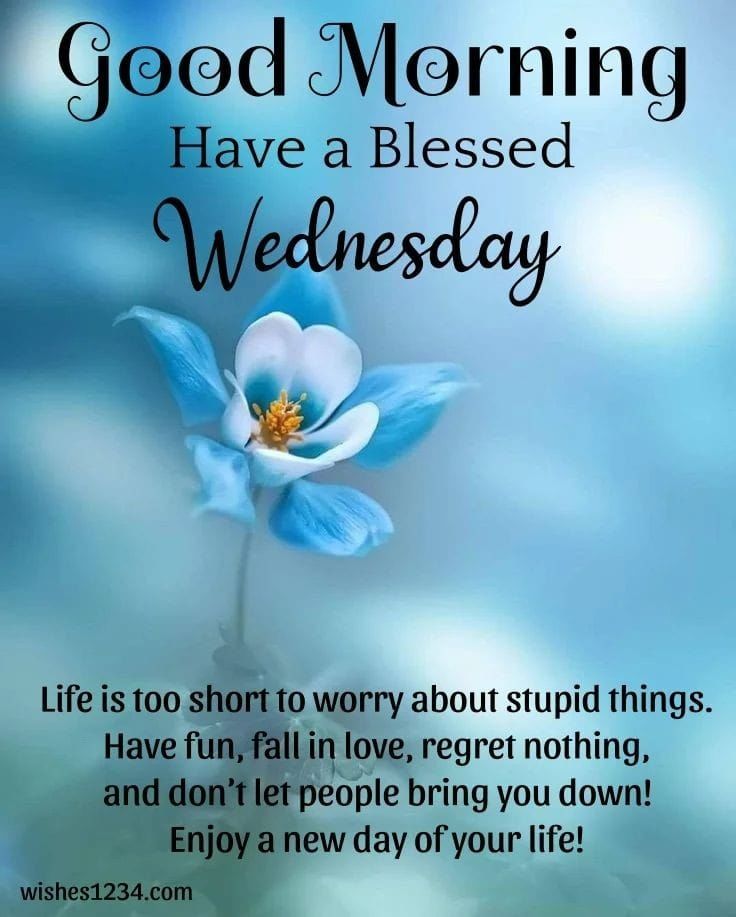 Good Morning Friends, Wish You All Blessed & Happy Wednesday! Pictures ...
