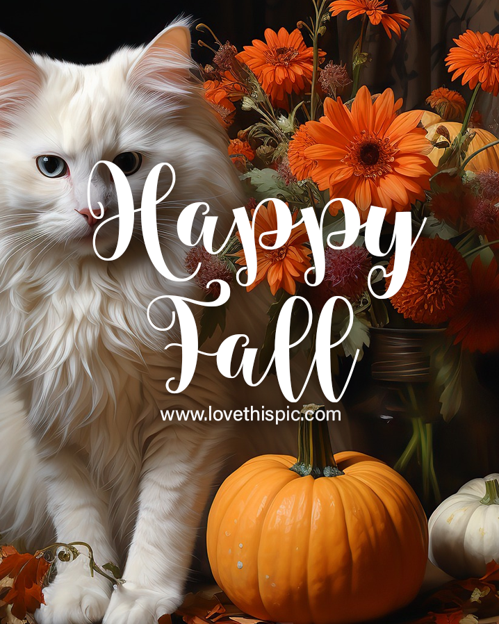 Happy Fall Greeting With White Cat And Pumpkin Pictures, Photos, and ...