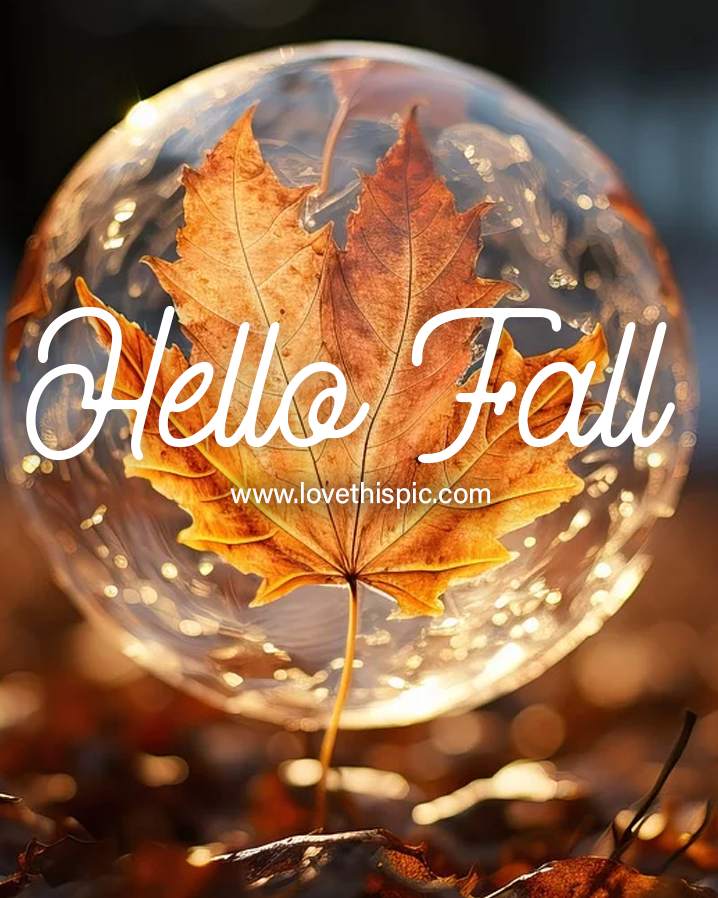 Frozen Maple Leaf - Hello Fall Pictures, Photos, and Images for ...