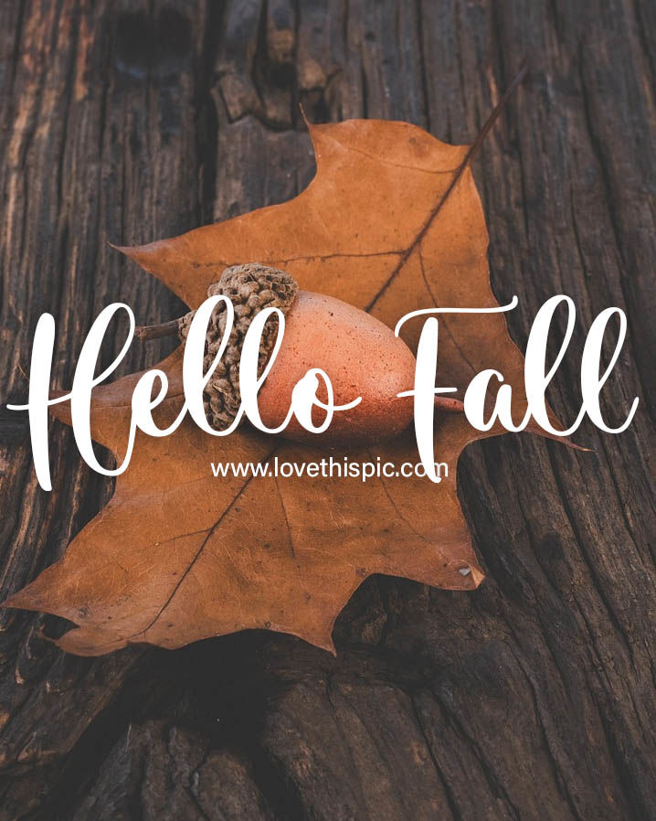 Leaf & Acorn - Hello Fall Pictures, Photos, and Images for Facebook ...