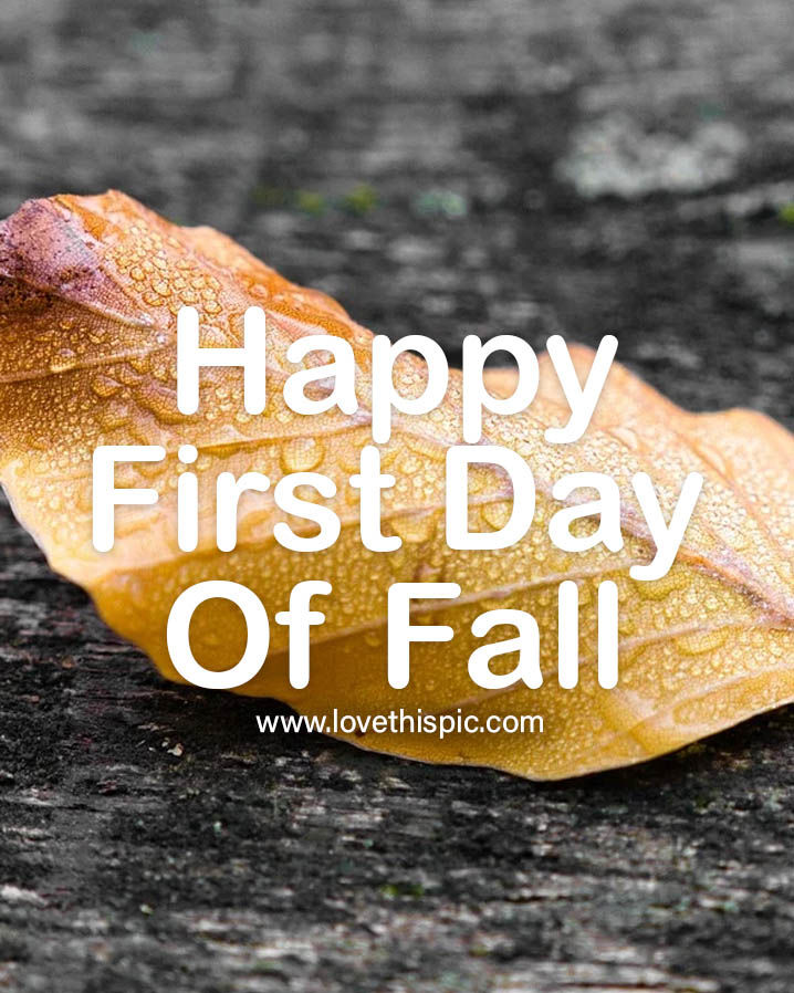 Wet Leaf - Happy First Day Of Fall Pictures, Photos, and Images for ...