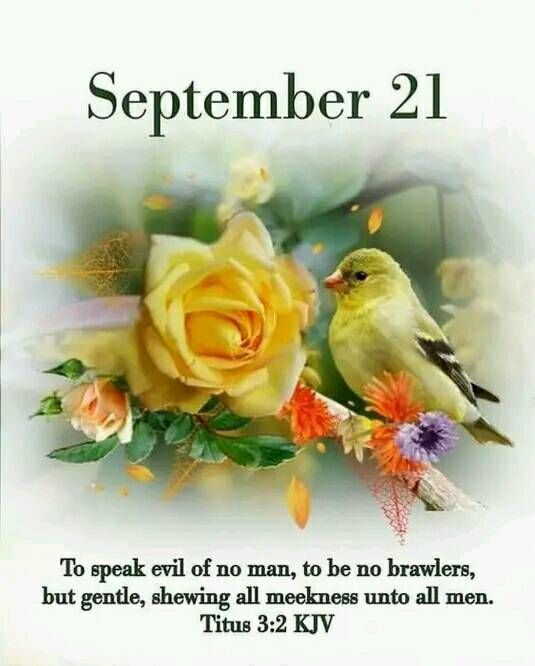 Yellow Rose & Bird - September 21 Greeting Pictures, Photos, and Images ...