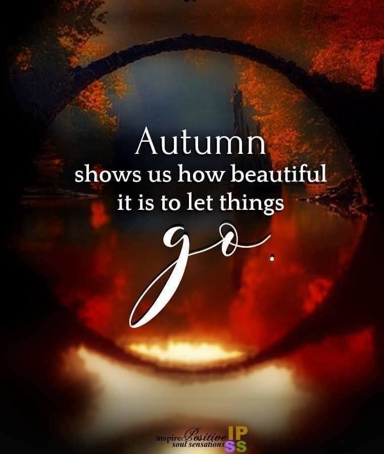 Autumn Shows Us How Beautiful It Is To Let Things Go. Pictures, Photos ...