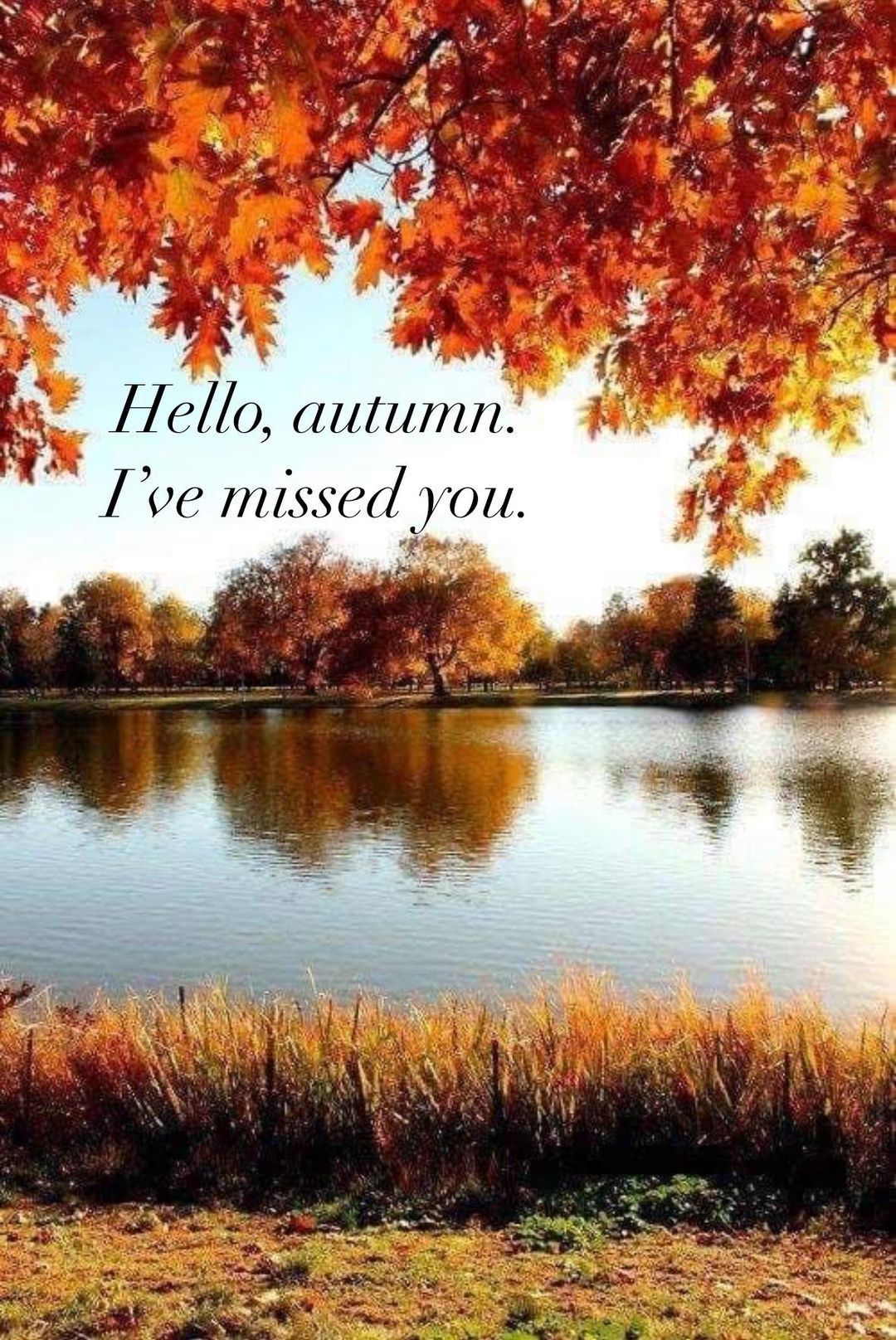 Hello, Autumn. I've Missed You. Pictures, Photos, and Images for ...