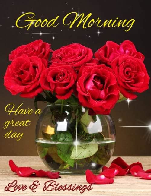 Good Morning With Red Roses. Have A Great Day With Love & Blessings Pictures, Photos, and Images ...