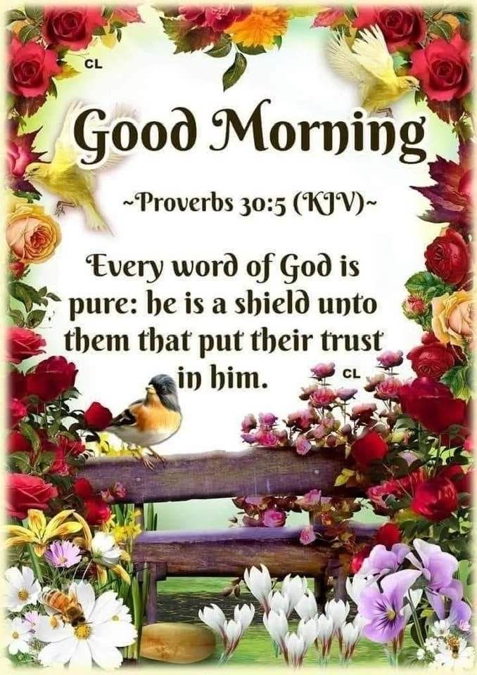 Good Morning - Every Word Of God Is Pure; He Is A Shield Unto Them That ...