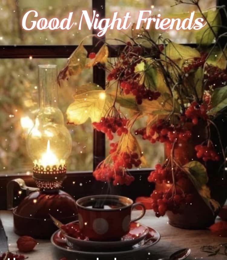 Good Night Friends Pictures, Photos, and Images for Facebook, Tumblr ...