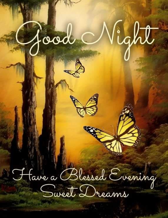 Yellow Butterfly - Good Night Blessing Pictures, Photos, and Images for ...