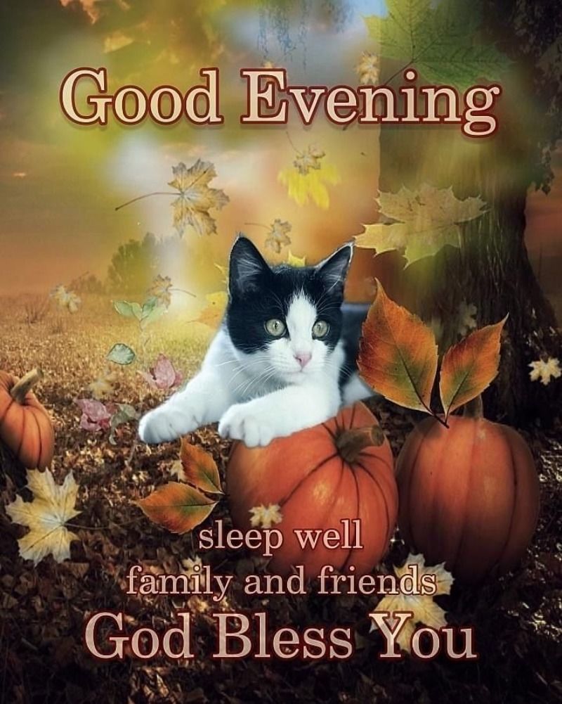 Good Evening And Sleep Well Family And Friends. God Bless You Pictures ...