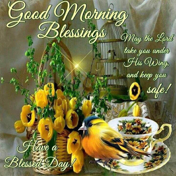Good Morning Blessings To You! May The Lord Take You Under His Wing And ...