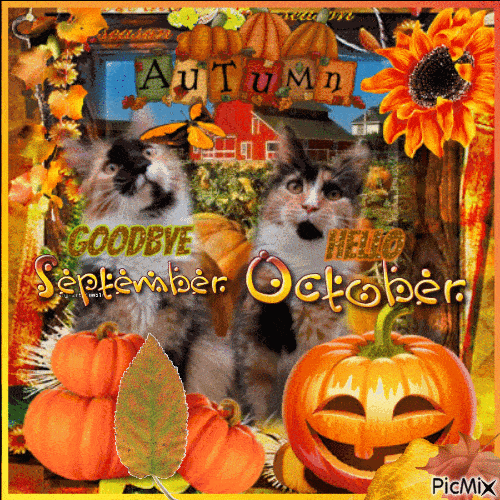 Goodbye September! Hello October! Pictures, Photos, and Images for ...