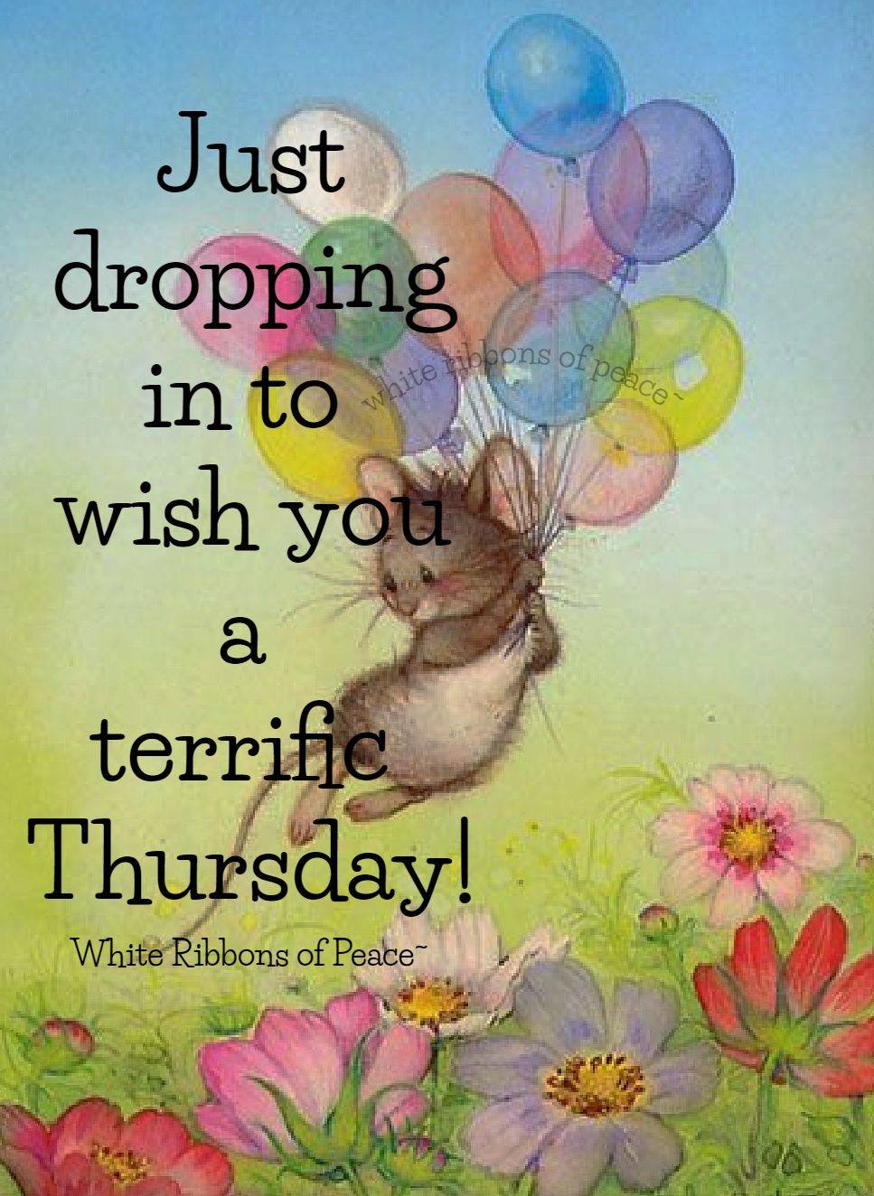 Just Dropping In To Wish You A Terrific Thursday! Pictures, Photos, and ...