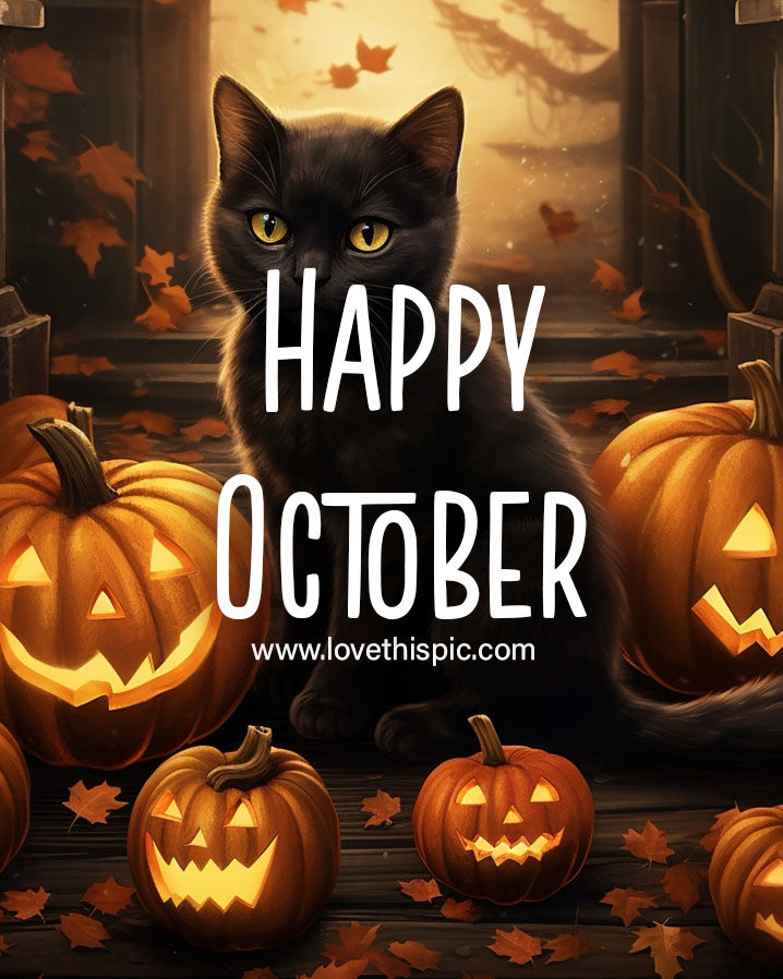 Black Cat & Jack O Lanterns - Happy October Pictures, Photos, and ...