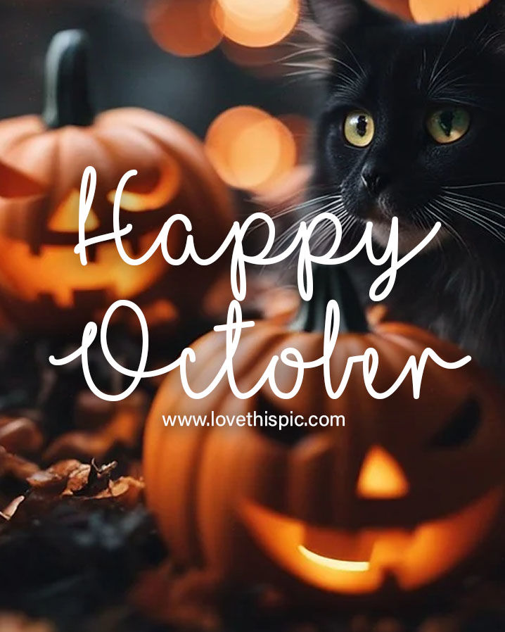 Happy October With Ai Generated Cat & Jack O Lanterns Pictures, Photos ...