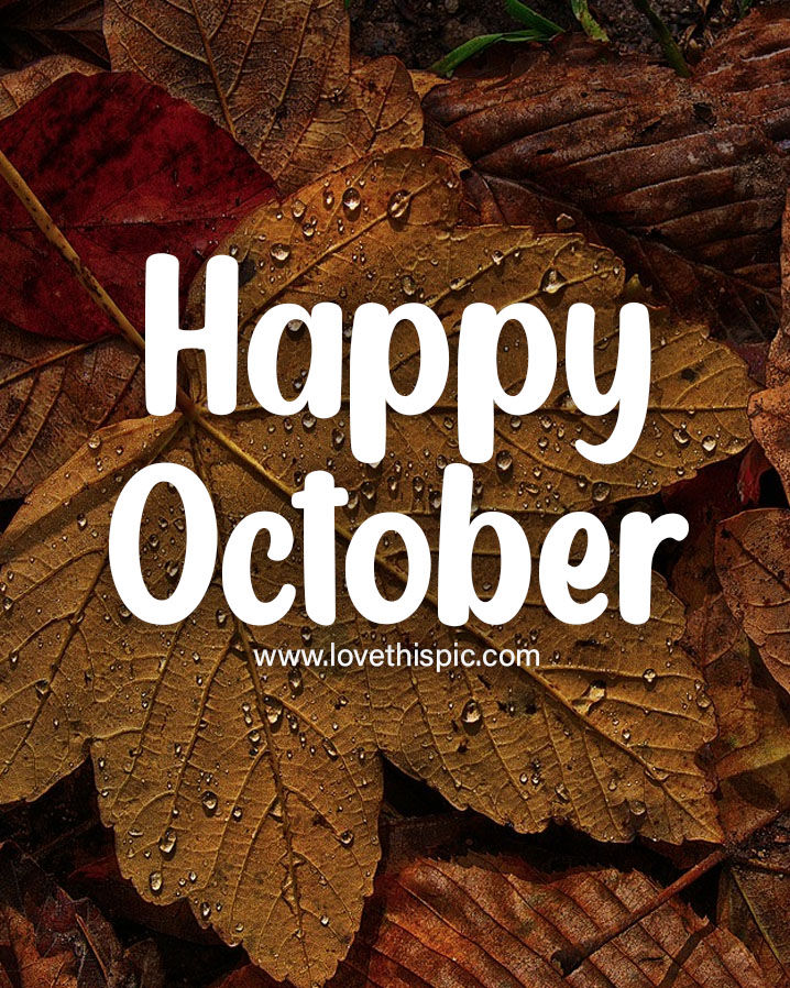 Happy October With Crisp Leaves Pictures, Photos, and Images for ...