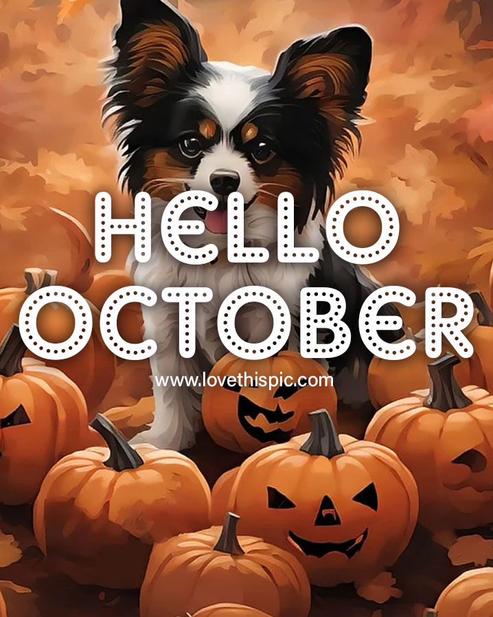 Doggy With Pumpkins - Hello October Wish Pictures, Photos, and Images ...