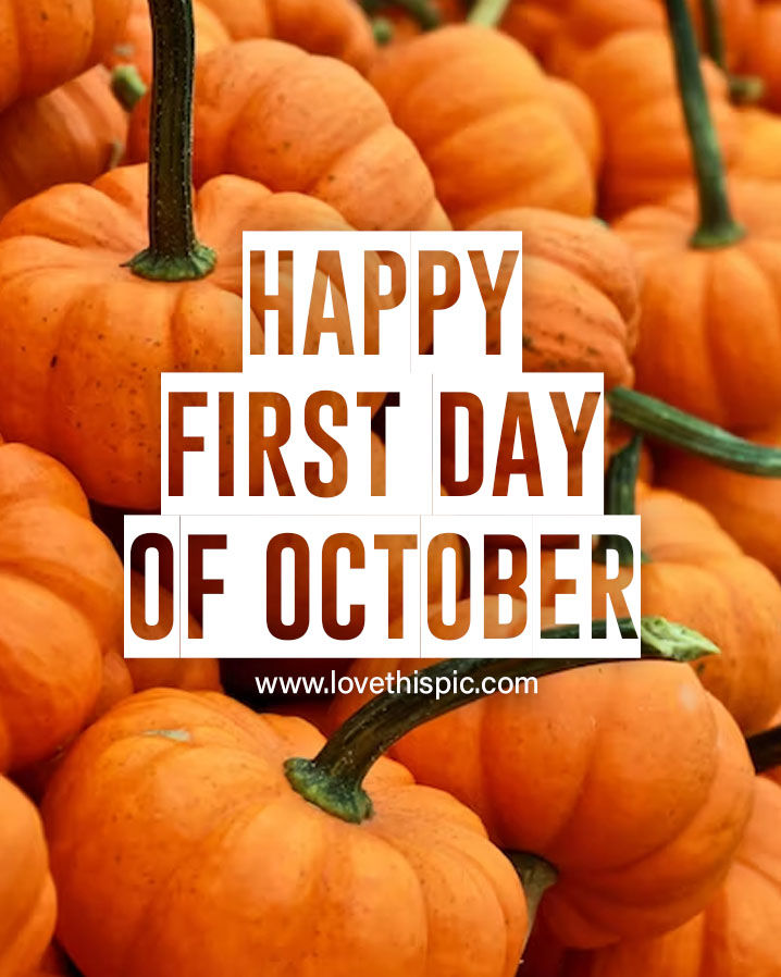 Little Orange Pumpkins - Happy First Day Of October Pictures, Photos ...