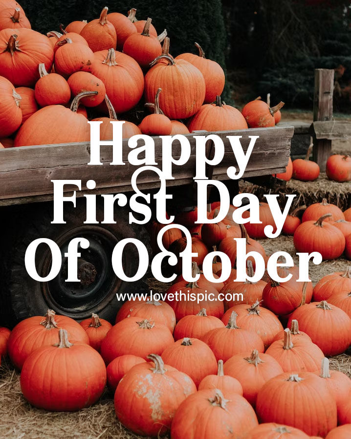 Bundles Of Pumpkins - Happy First Day Of October Pictures, Photos, and ...