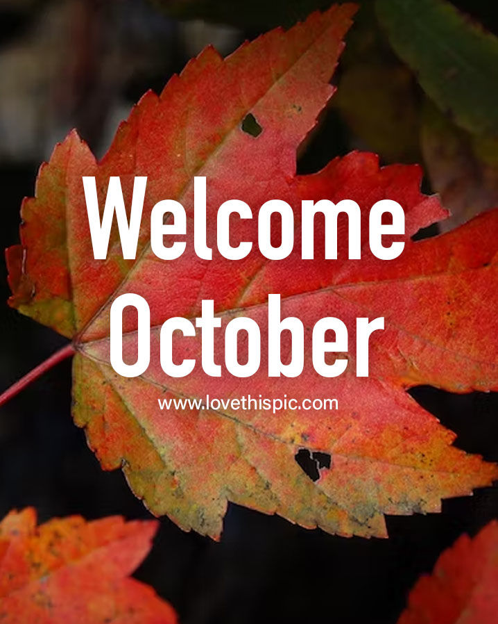 Red Maple Leaf Welcome October Greeting Pictures, Photos, and Images ...