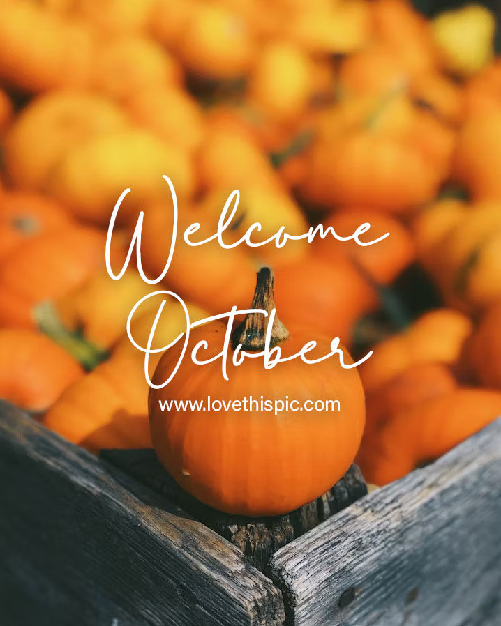 Box Of Pumpkins - Welcome October Image Pictures, Photos, and Images ...
