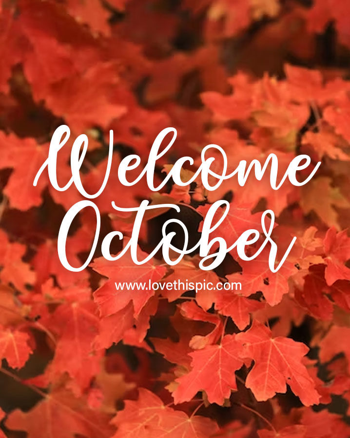 Red Orange Autumn Leaves - Welcome October Pictures, Photos, and Images ...