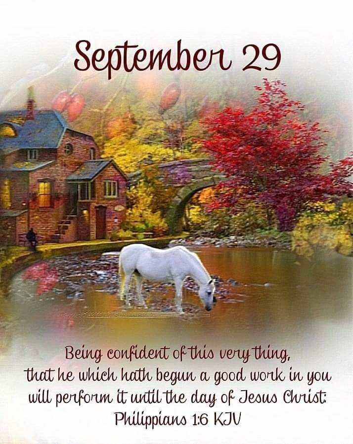 September 29. Pictures, Photos, and Images for Facebook, Tumblr ...