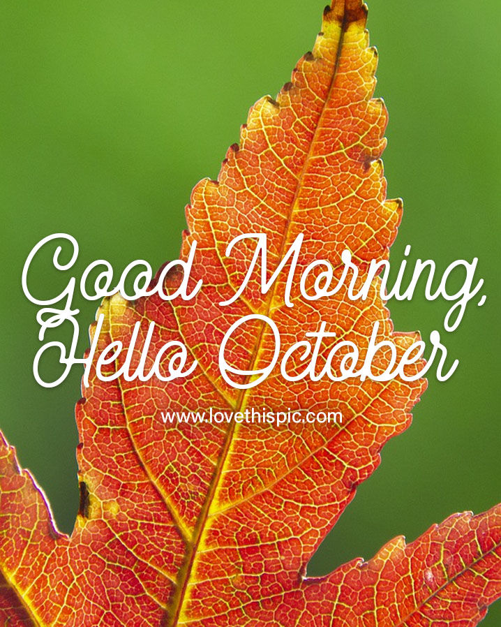 Maple Leaf Good Morning, Hello October Greeting Pictures, Photos, and ...